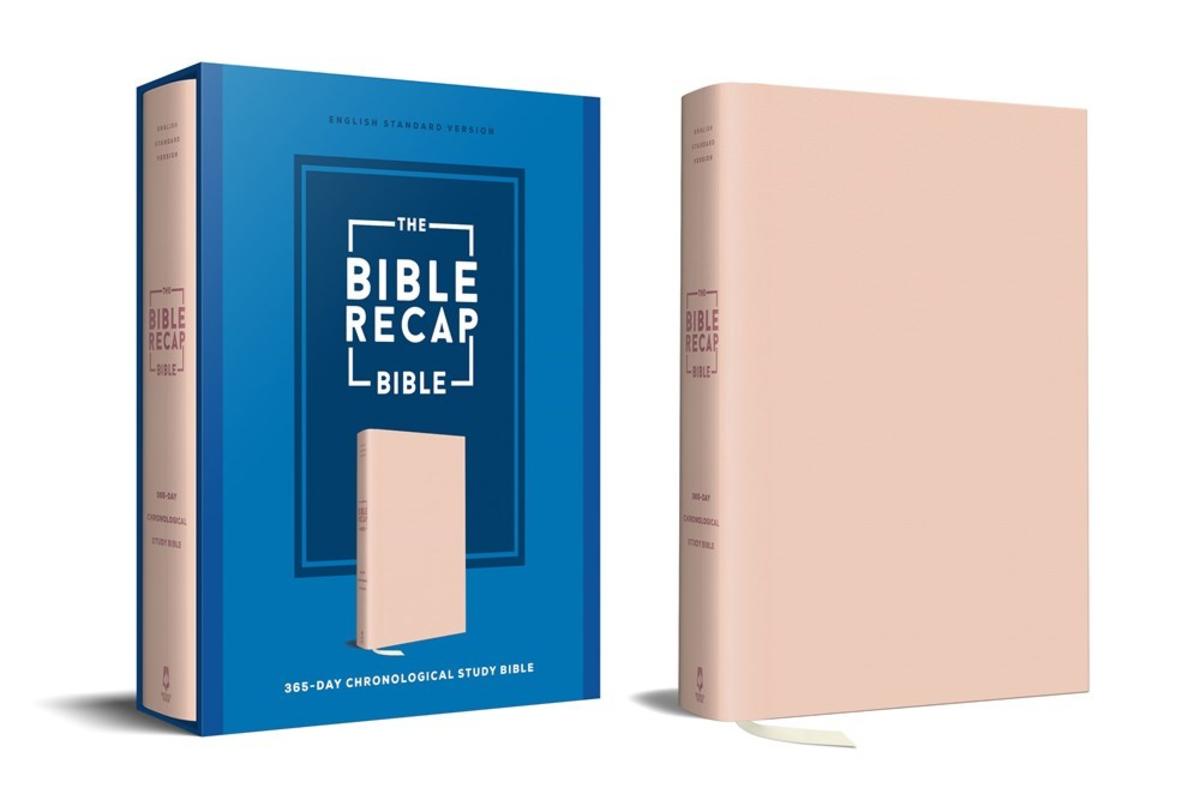 The Bible Recap 365-Day Chronological Study Bible by Tara-Leigh Cobble ...