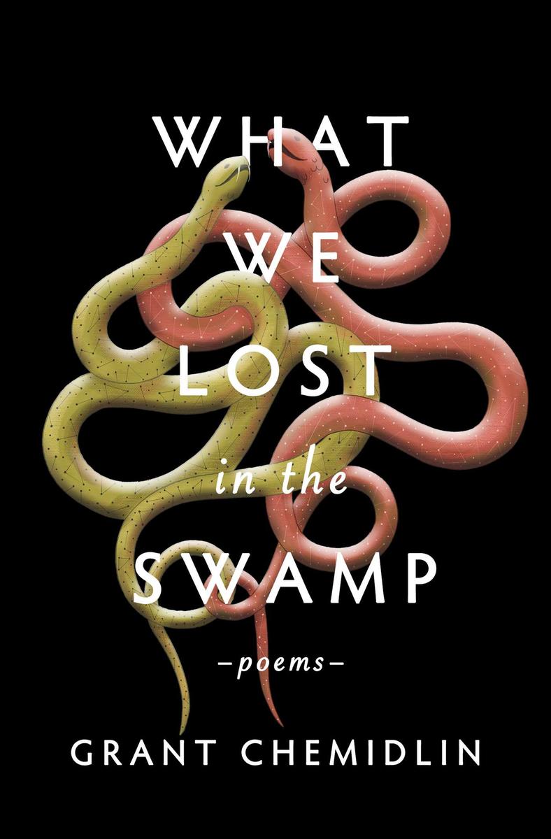 What We Lost in the Swamp by Grant Chemidlin | Bluestockings Cooperative