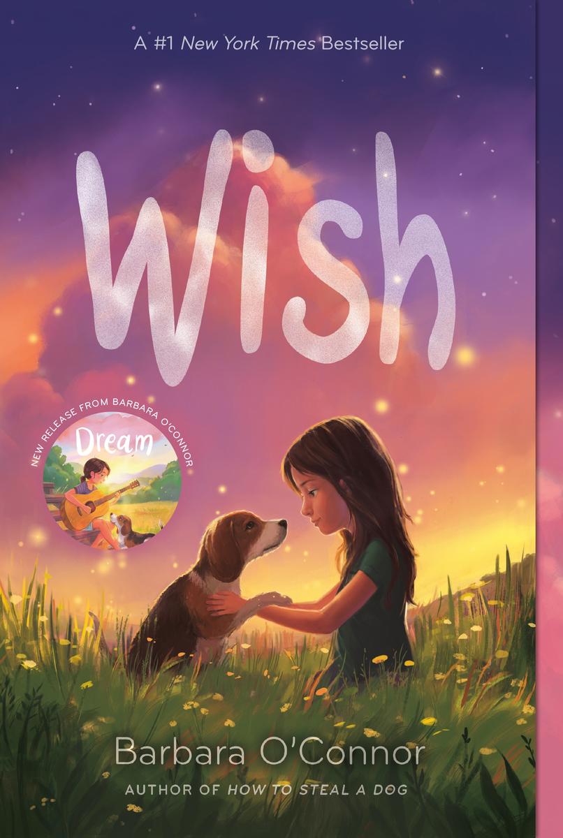 Wish by Barbara O'Connor | The Book Rack