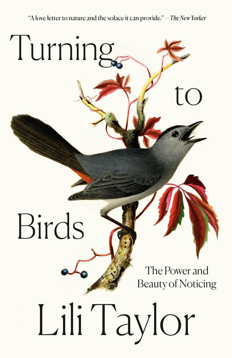 Turning to Birds by Lili Taylor | All Good Books