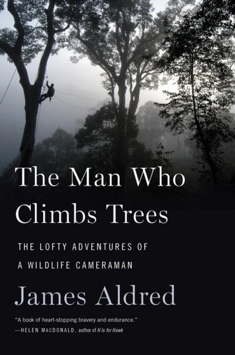The Man Who Climbs Trees by James Aldred | Birdie Books